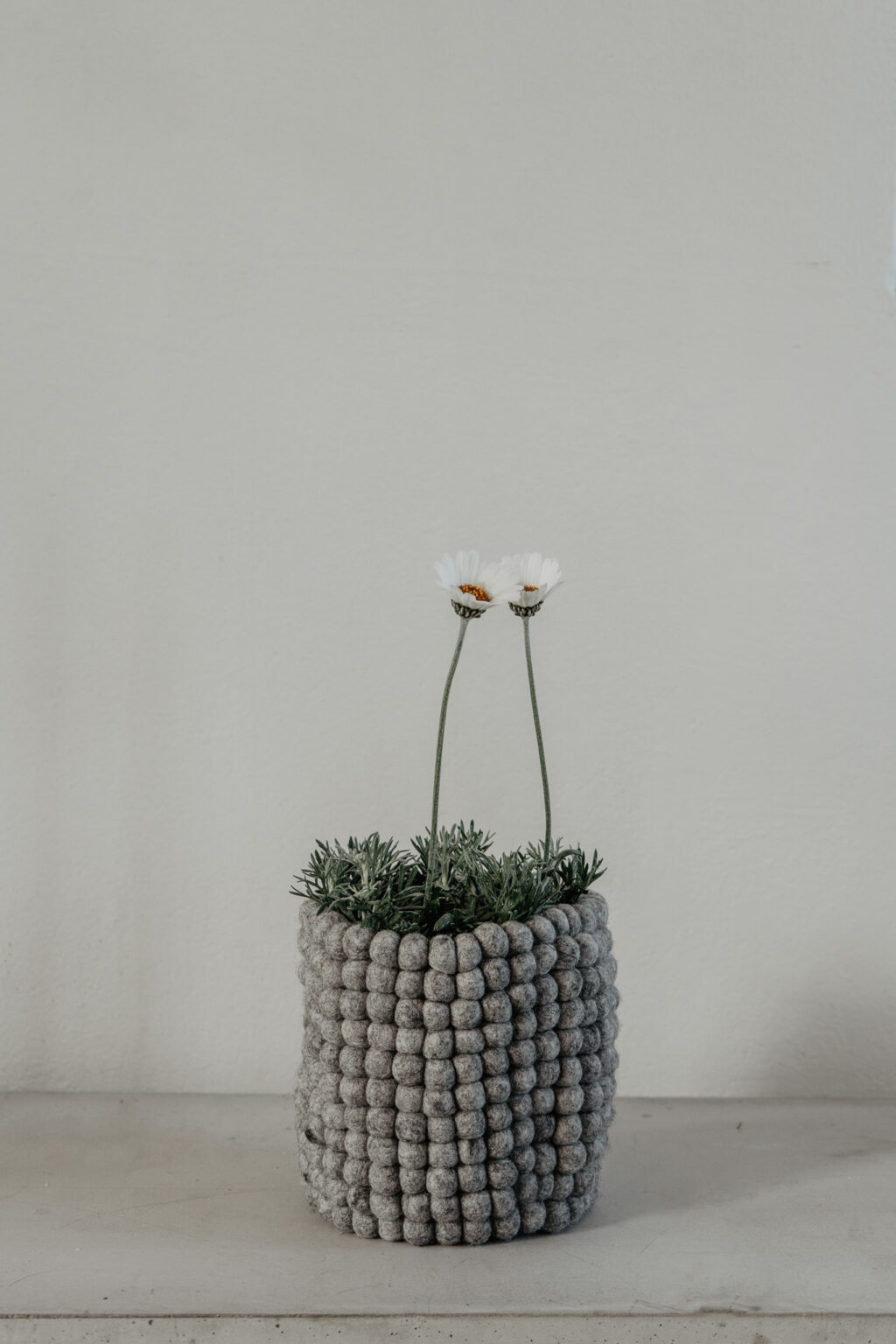 Vas Plus | Grafitgrå